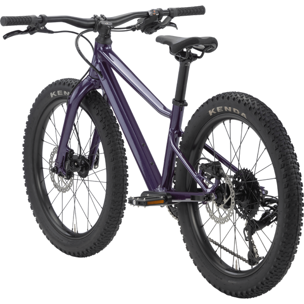Sports basement mountain bikes store