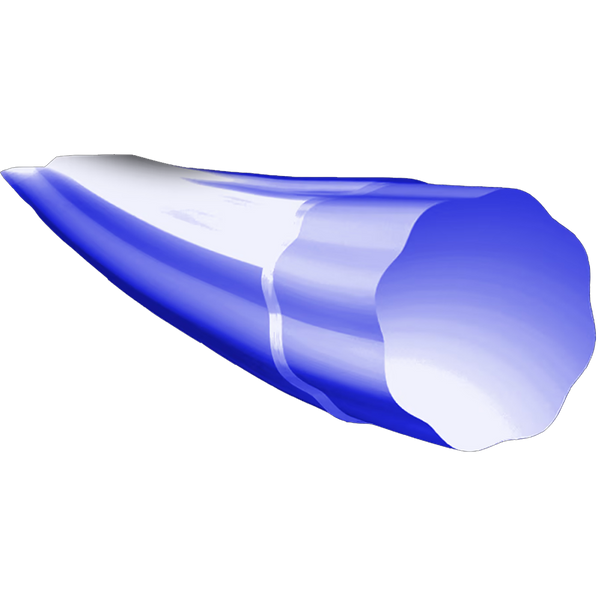 RPM Team – Sports Basement