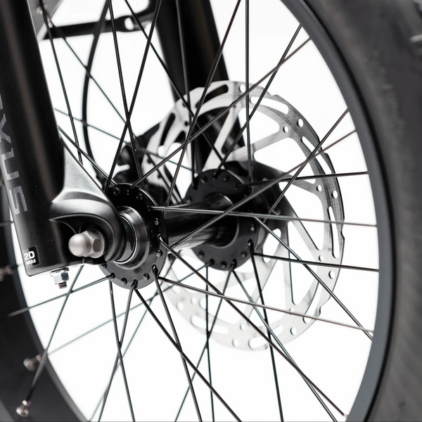 Lynx Plus – Sports Basement