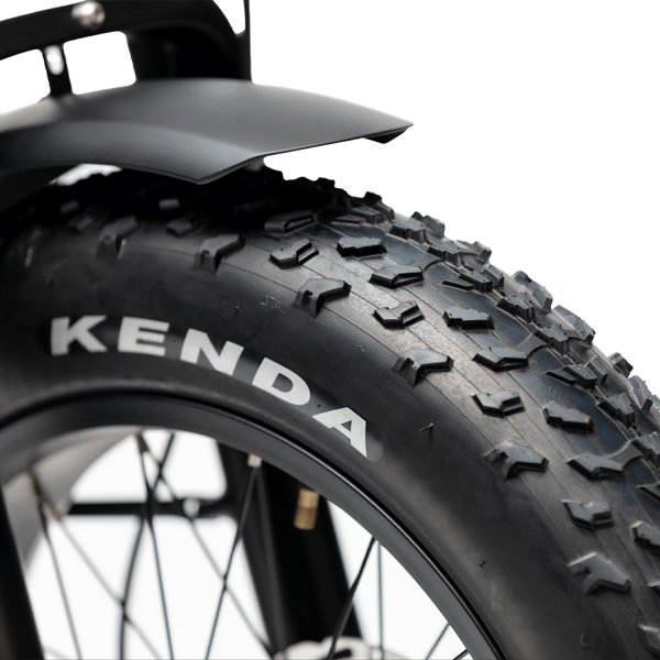 Lynx Plus – Sports Basement