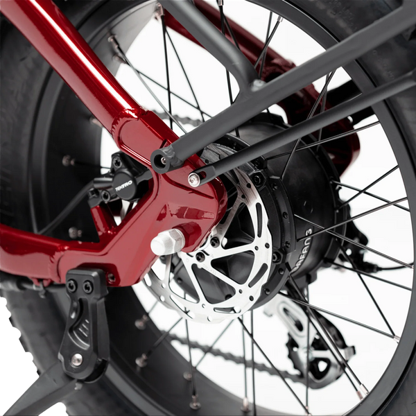 Lynx Plus – Sports Basement