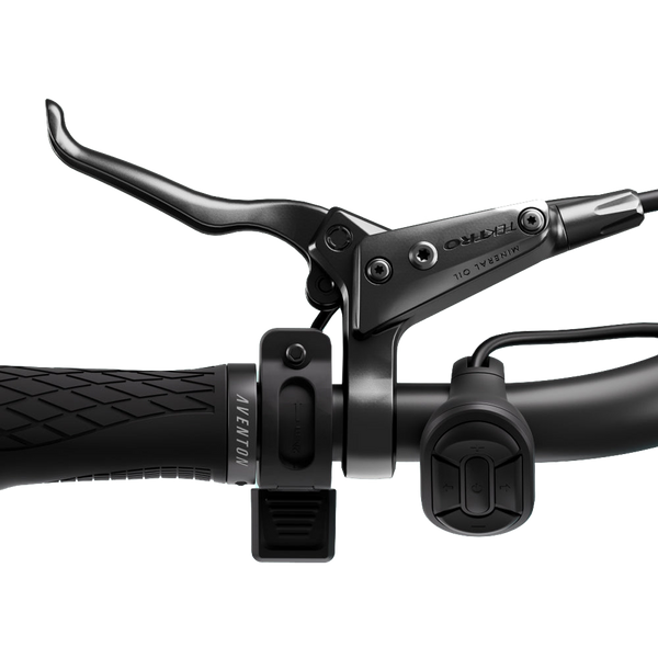 Soltera 2.5 – Sports Basement